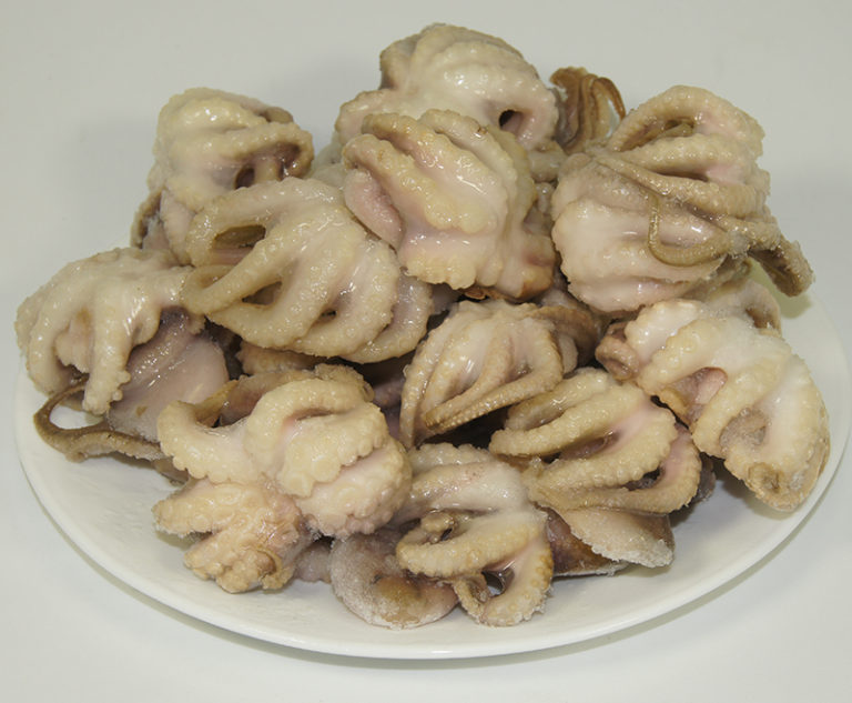 Octopus Baby $16.90kg... 10kg Box - Seafood Warehouse